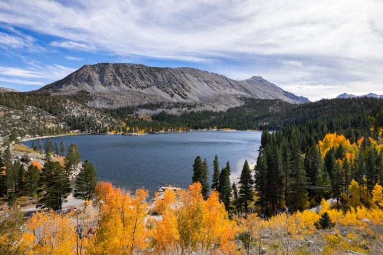 Eastern Sierra Fall Colors: Where to Find the Best Foliage Near Bishop ...