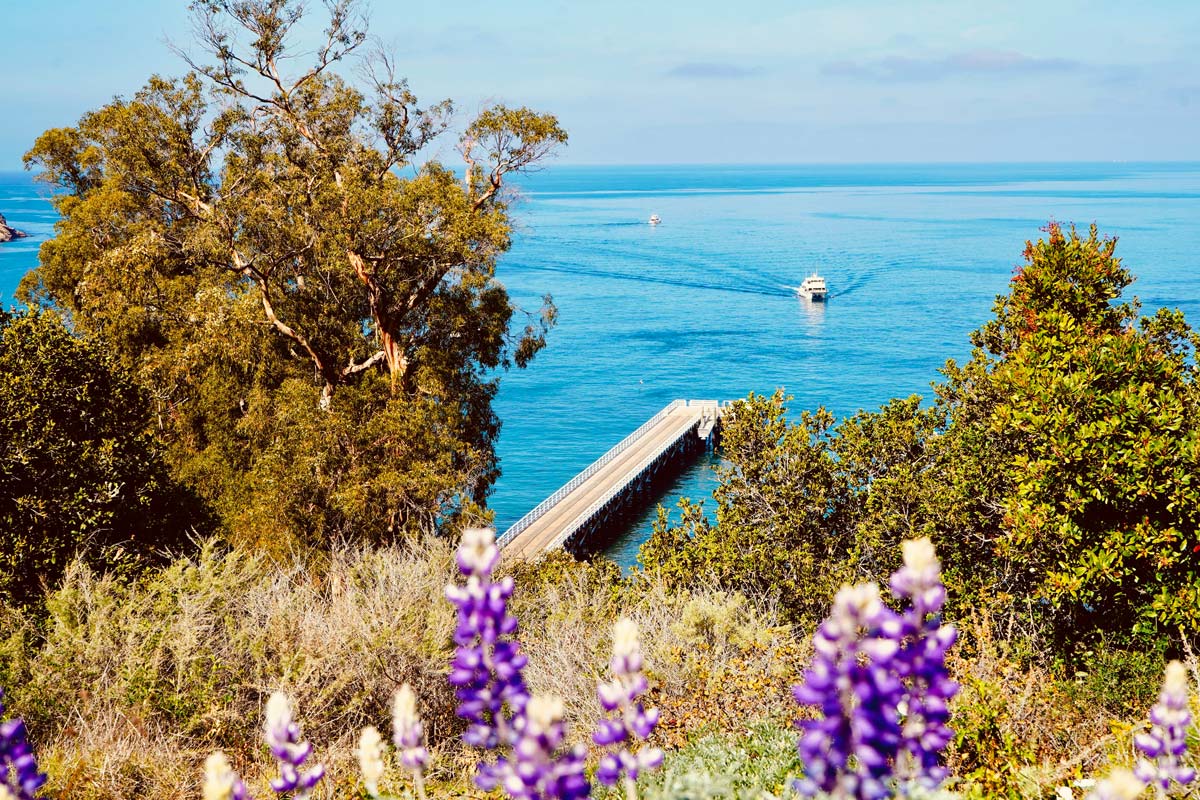 Things to Do in Channel Islands: A Complete Guide To Hiking, Kayaking ...